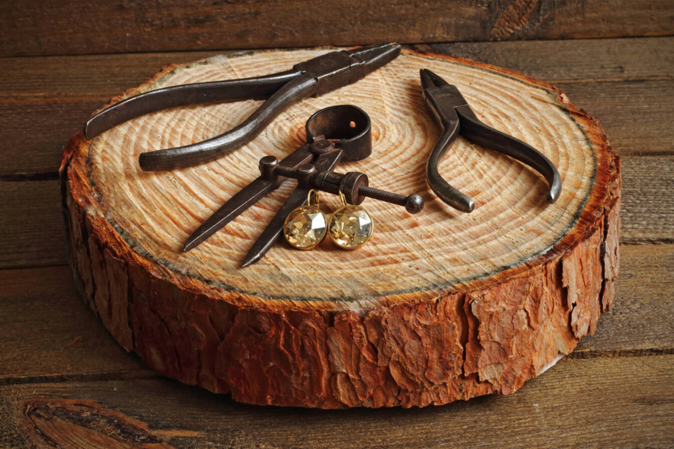 National Silly Earring Day in United States in 2025 | Dayspedia