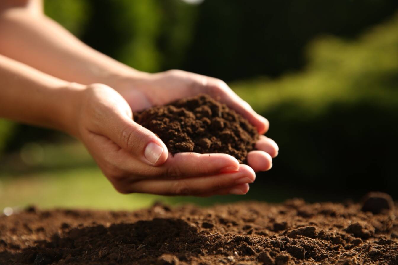World Soil Day in Turkmenistan in 2025 | Dayspedia
