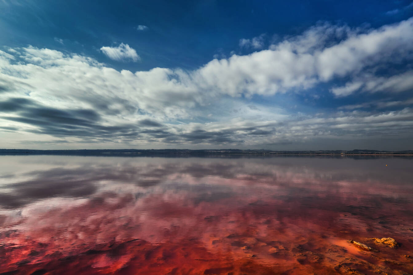 Sea Org Day in Australia in 2025 | Dayspedia